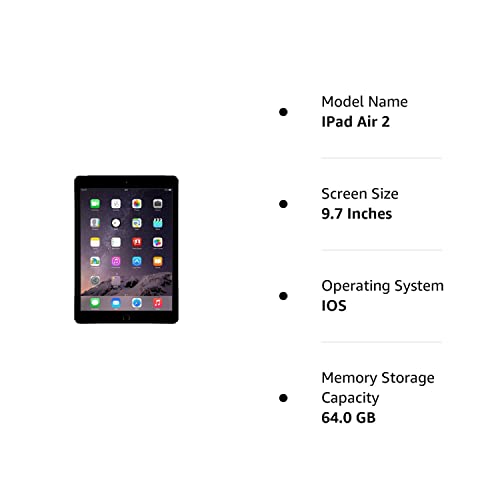 Apple IPad Air 2 WI-FI 64GB Space Gray (Renewed)