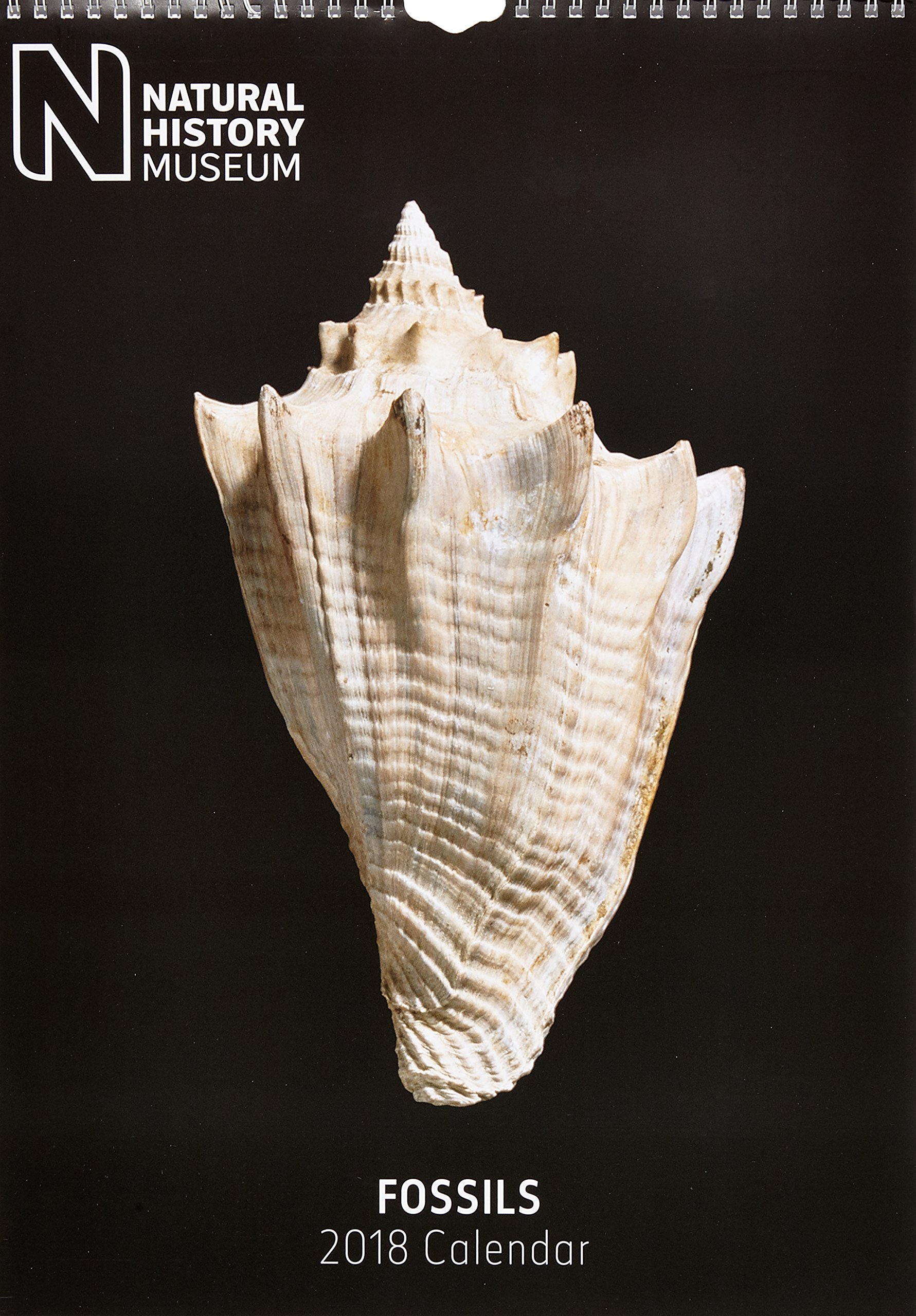2018 Natural History Museum 2018 'Fossils'