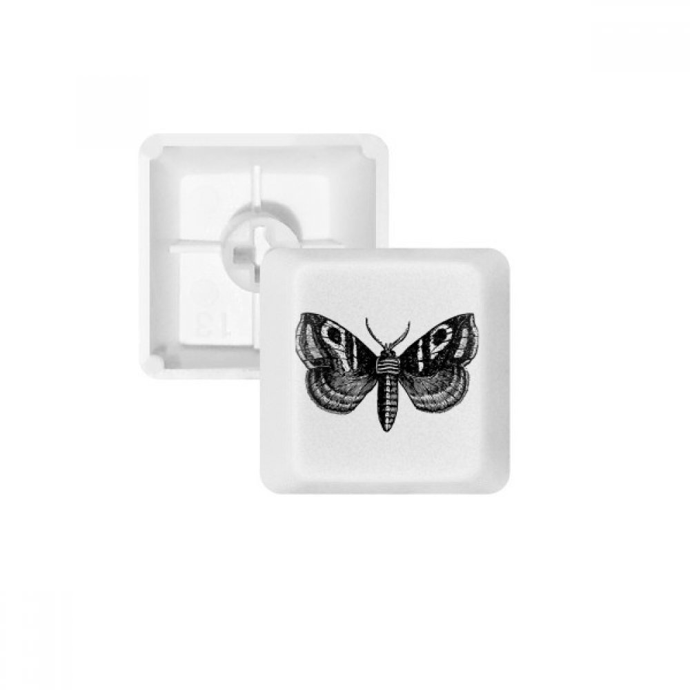 DIYthinker Black Butterfly with Simple Pattern Keycap Mechanical Keyboard PBT Gaming Upgrade Kit