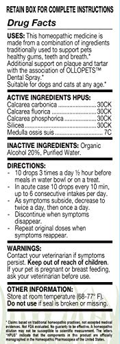 OLLOPETS Dental Care, Organic Homeopathic Remedy for All Pets, 1 Fl Ounce