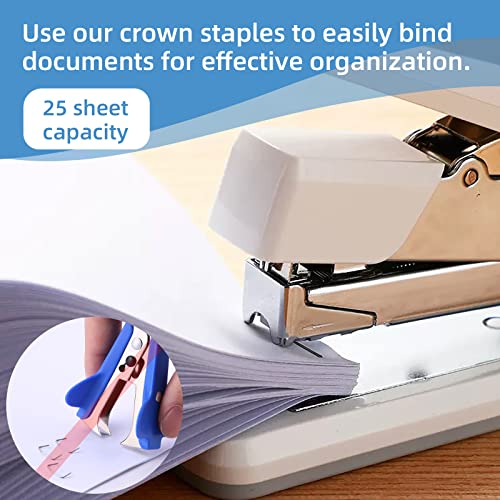 30000 Pieces B8 Crown Staples Standard Staples Heavy Duty Staples 1/4 Inch Leg Length for B8 Staplers Home School Office