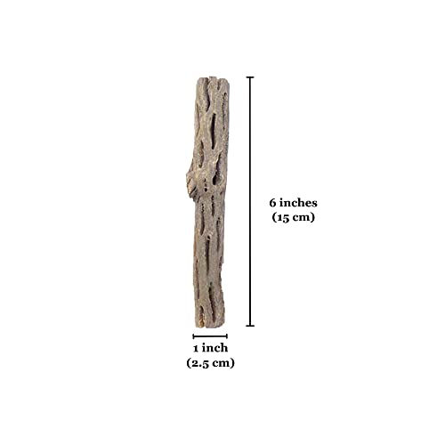 Jor Pleco Wood, 6x1 Inch Long, Aquarium Decor and Chew Toys for Tropical Fish, Small Pets Play and Hide, 2-Pieces per Pack