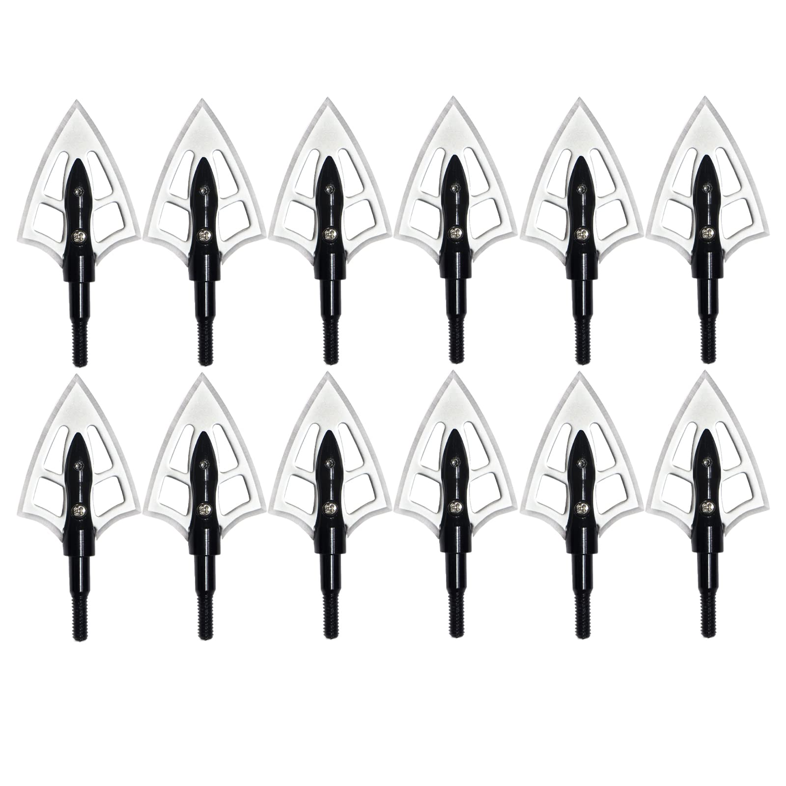 12Pcs Stainless Steel 100 Grain Broadheads 2 Blades Hunting Tips for Crossbow Compound Bow Archery Hunting