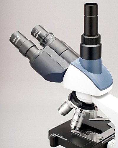 AmScope T120C Professional Siedentopf Trinocular Compound Microscope, 40X-2500X Magnification, WF10x and WF25x Eyepieces, Brightfield, LED Illumination, Abbe Condenser with Iris Diaphragm, Double-Layer Mechanical Stage, 100-240VAC