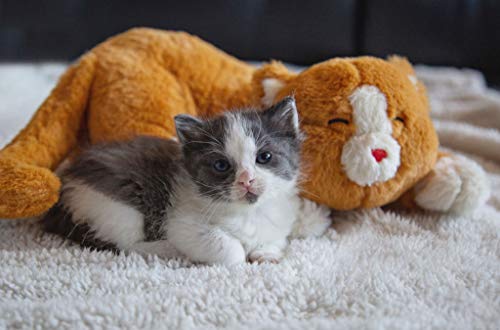 Calmeroos Cat Heartbeat Toys - Calming Separation Anxiety Relief Toys for Kittens - Heartbeat Simulator in a Soft Comforting Pillow Pet Plush