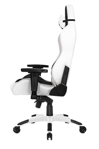 AKRacing Masters Series Premium Gaming Chair with High Backrest, Recliner, Swivel, Tilt, Rocker and Seat Height Adjustment Mechanisms with 5/10 Warranty