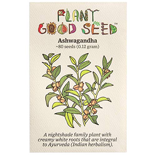 Ashwagandha Root Seeds - Pack of 80, Non-GMO, Open Pollinated, Untreated Herb Seeds for Planting â from USA