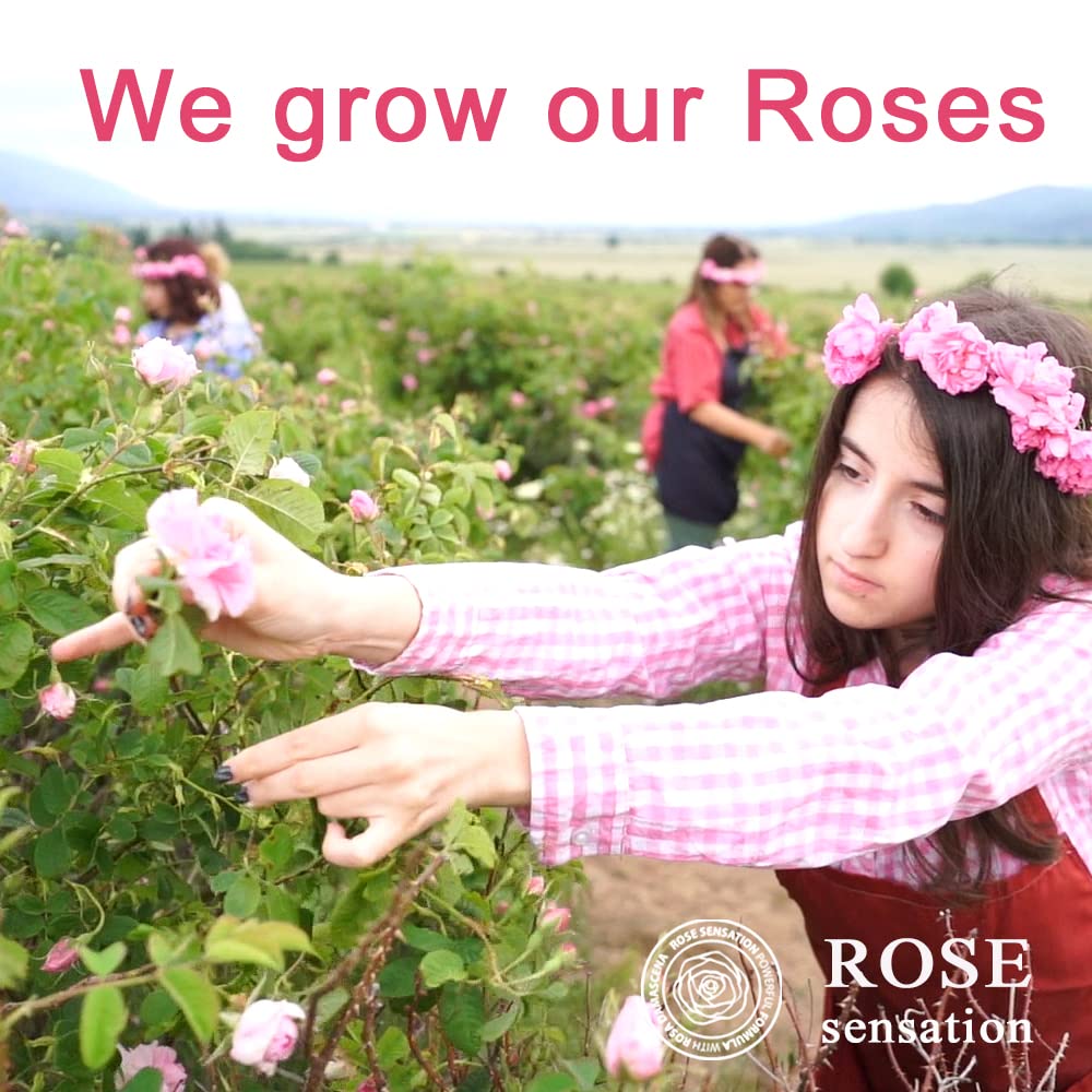 Rose Sensation Shampoo, 10 oz - Natural Moisturizing Hair Care for Strength & Growth