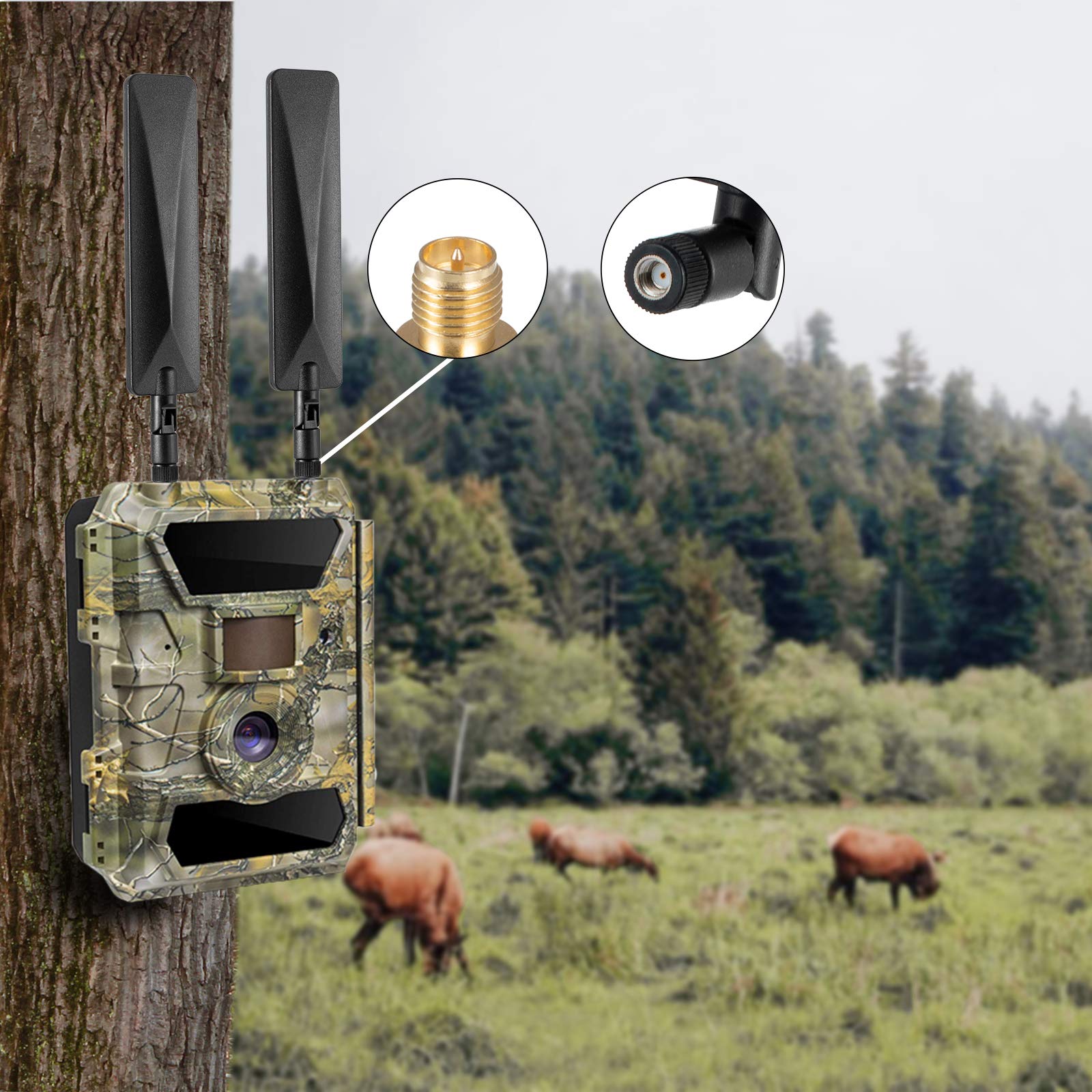 RP-SMA Male 9dBi 3G 4G LTE Cellular Trail Camera Long Range Antenna (Pack of 2) Compatible with Spypoint Micro Dark Link S EVO Tactacam Stealth Cam