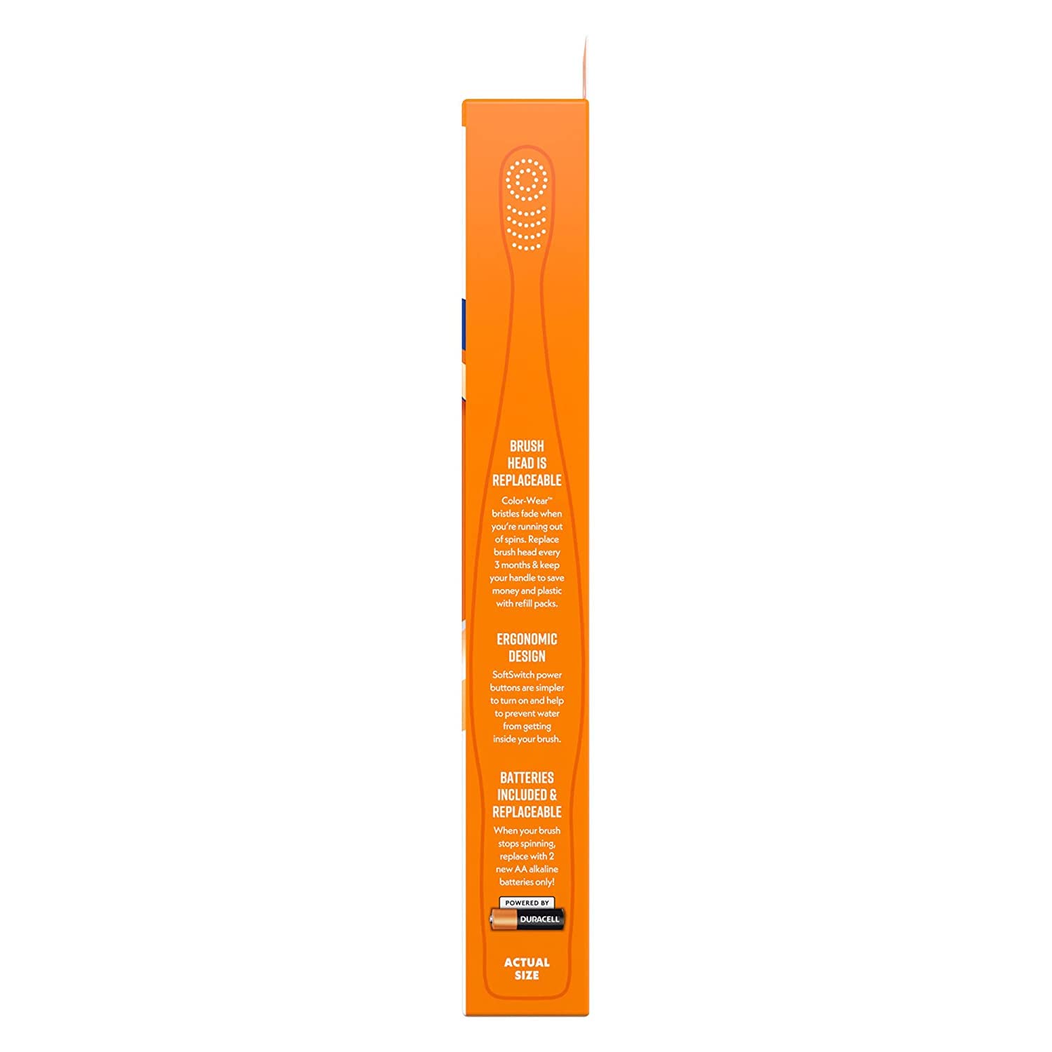 ARM & HAMMER Spinbrush Pro Series Daily Clean Powered Toothbrush Medium - Color Vary (Pack of 3)