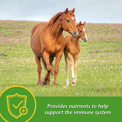 Farnam Grow Colt Supplement for Growth & Development, Supports Normal, consistent Growth in First Years of foal's Life, 7.5 lbs, 60 Day Supply