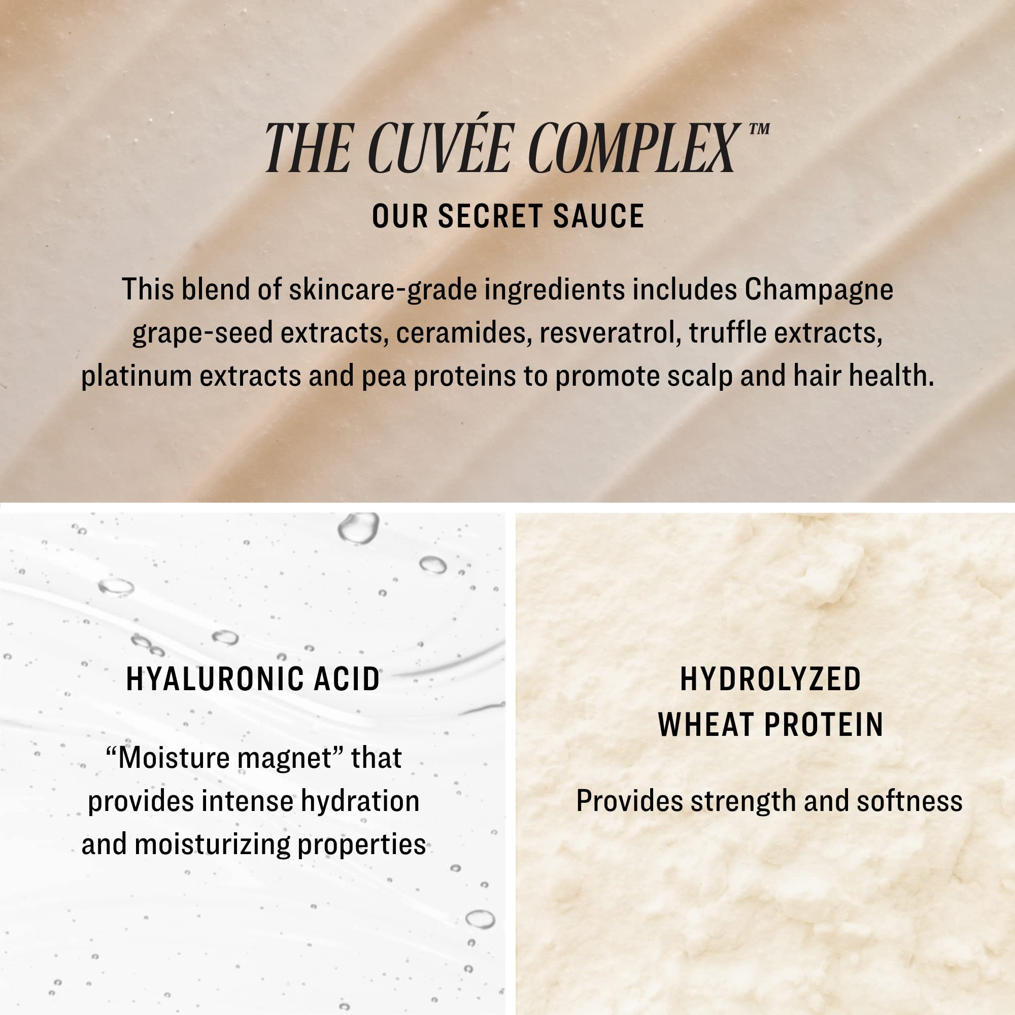 Cuvee Conditioner - 10 fl oz - Softens, Strengthens, Hydrates & Protects Hair - Includes Hyaluronic Acid - Champagne-Infused Formula with Resveratrol & Ceramides - Color Safe