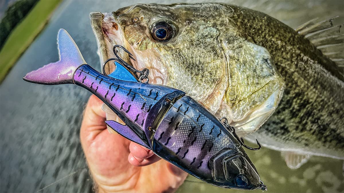 13 FISHING - Glidesdale - Glide Bait - 6.6" - 2.5oz - Rusty Bream - G185-1