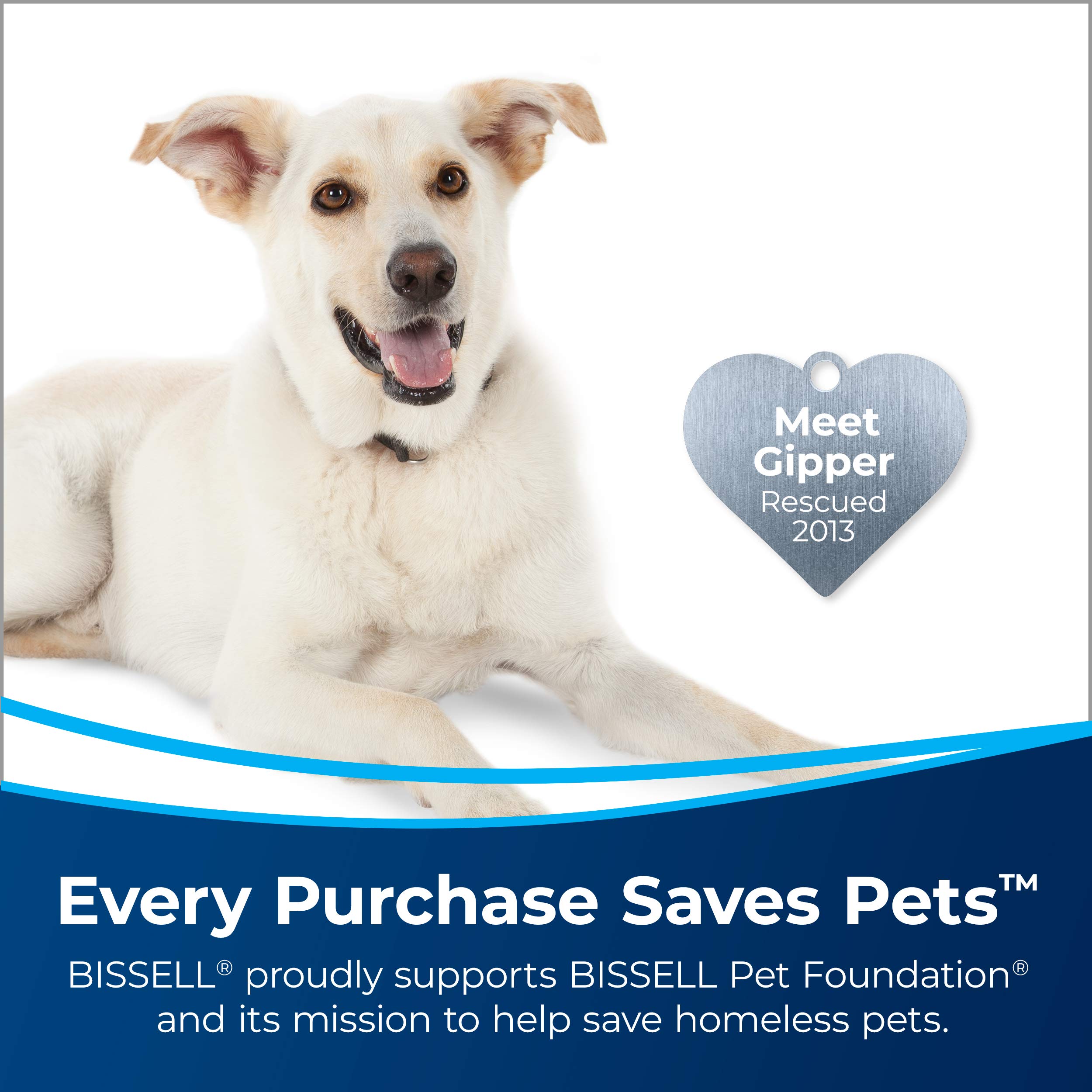 Bissell SpotBot Pet handsfree Spot and Stain Portable Deep Cleaner, Blue, 2117A