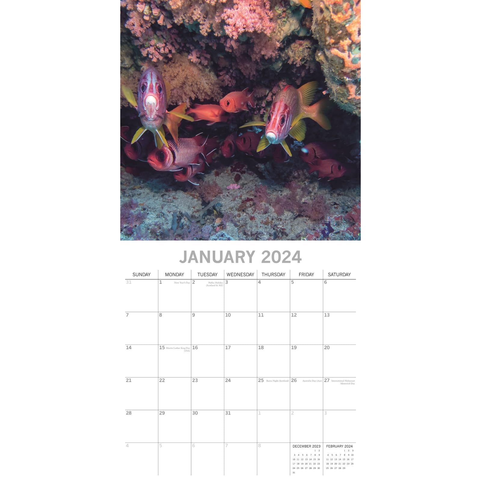 2024 Square Wall Calendar, Under the Sea, 16-Month Natural World Theme with 180 Reminder Stickers (12x12 In)