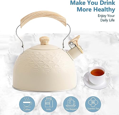 2.5L Stainless Steel Tea Kettle Teapot with Foldable Anti-Heat Handle,for Gas Hobs, Induction and Electric Hobs▂19 * 23cm/7.48"*9.06"