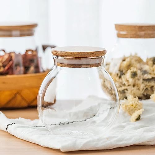 Aurfedes Set of 2 round glass jars with Bamboo lid β 17oz wedding candy jar kitchen Storage jar, perfect for tea, biscuits, cereals, flour, beans, spices, coffee beans etc (2PCS)