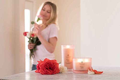 Chesapeake Bay Candle Scented Candles, Stillness + Purity (Rose Water), Medium (2-Pack), 2 Count