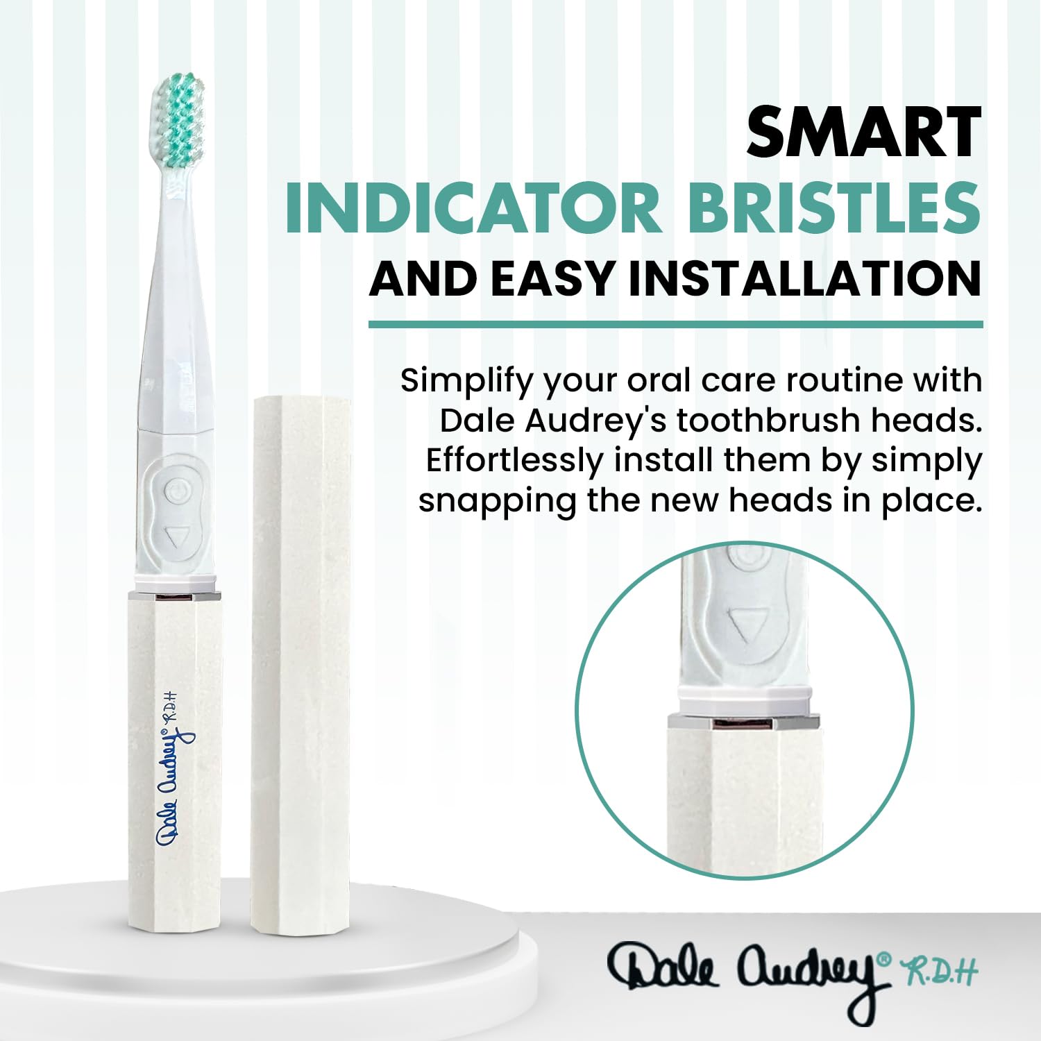 Dale Audrey Ayurvedic Quick Sonic Toothbrush Head Replacement for Adults | DailyClean Toothbrush | (2 Count)