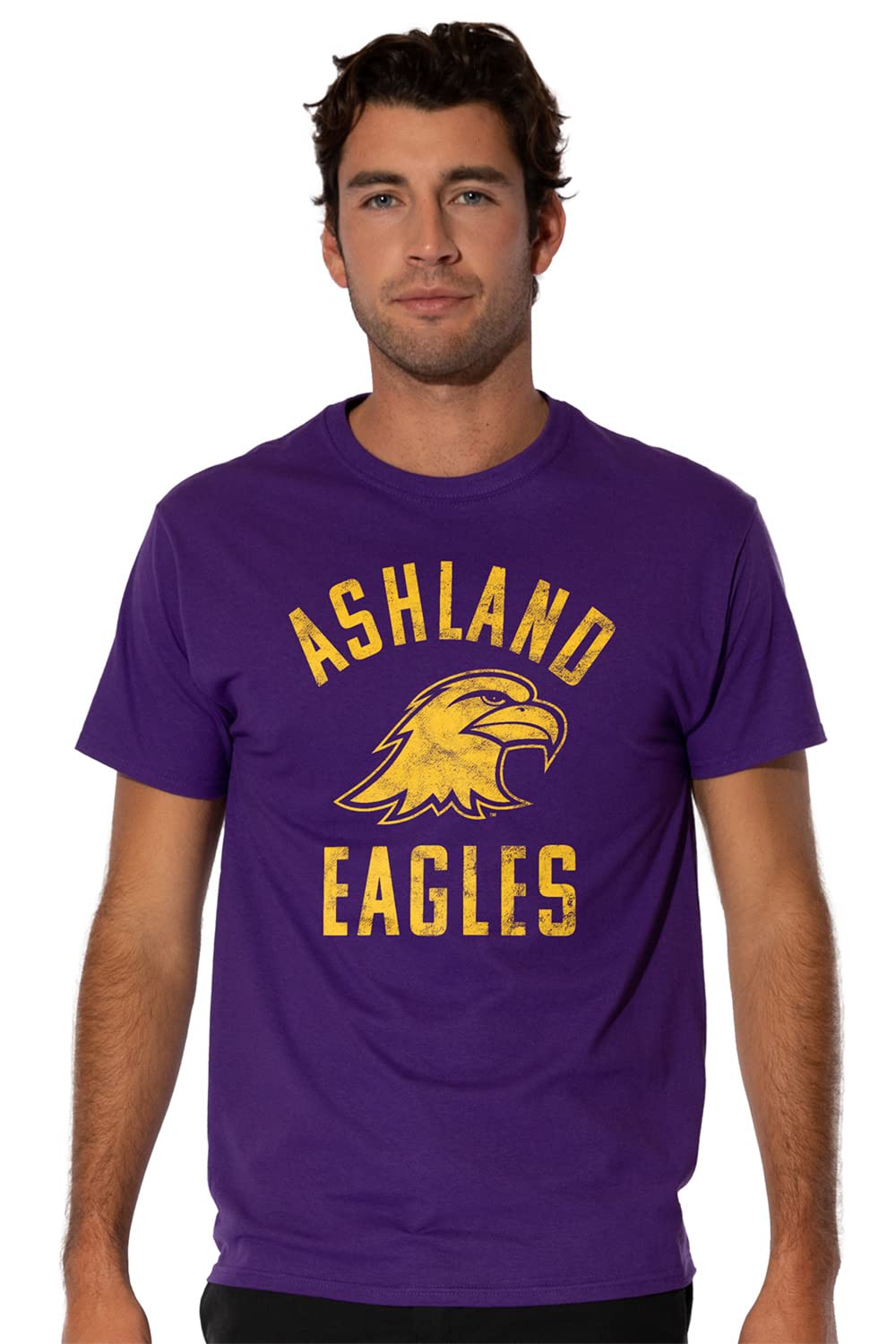Ashland University Official Large One Color Logo Short Sleeve Mens Cotton T-Shirt,Purple, 2X-Large