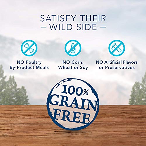 Blue Buffalo Wilderness Trail Treats High Protein Grain Free Crunchy Dog Treats Biscuits, Salmon Recipe 24-oz Bag