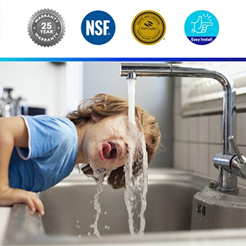 3M Aqua-Pure Whole House Sanitary Quick Change Water Filter System AP904, Reduces Sediment, Chlorine Taste and Odor, and Scale