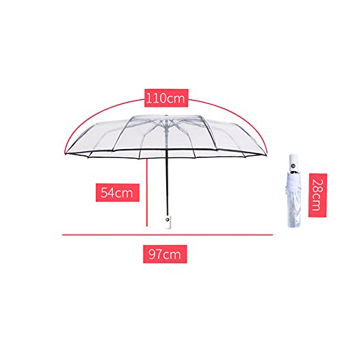 AIXICWXI Full Automatic Folding Transparent Auto Open Close Umbrella Travel Umbrella Tri-fold Clear Rain Umbrella With Frosted Handle Clear Folding Umbrella Windproof (White)