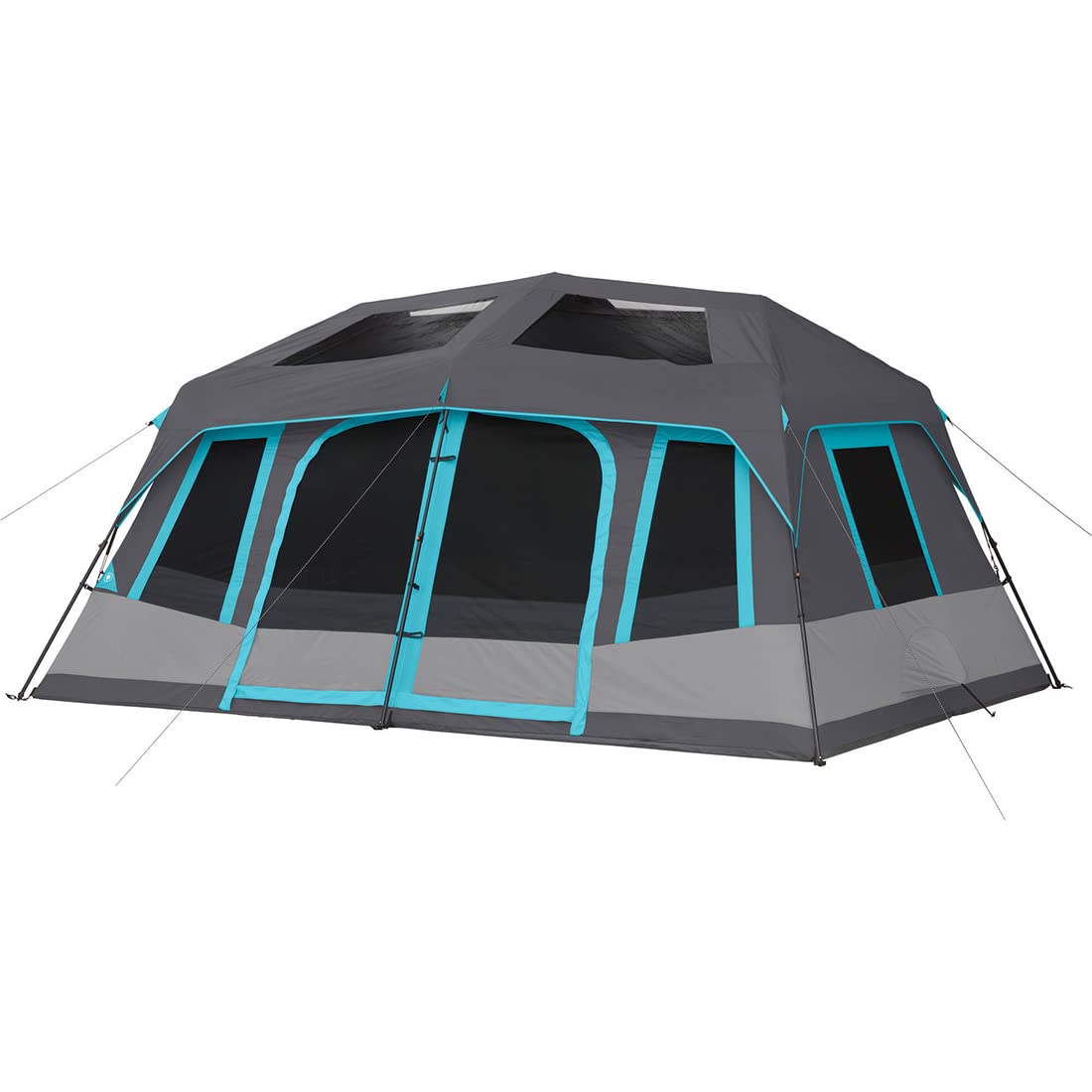 14' x 10' Large Family Cabin Tent 10-Person Dark Rest Instant Cabin Tent for Camping