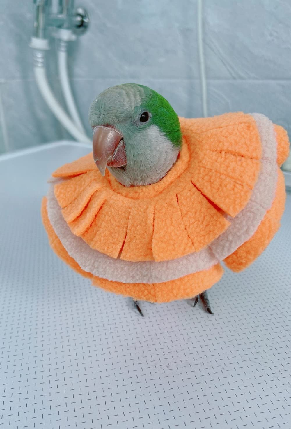 Adjustable Parrot Cone Collar, Safe and Practical Cotton Collar to Prevent Bites and Licking Wounds, to Help heal (4XL)
