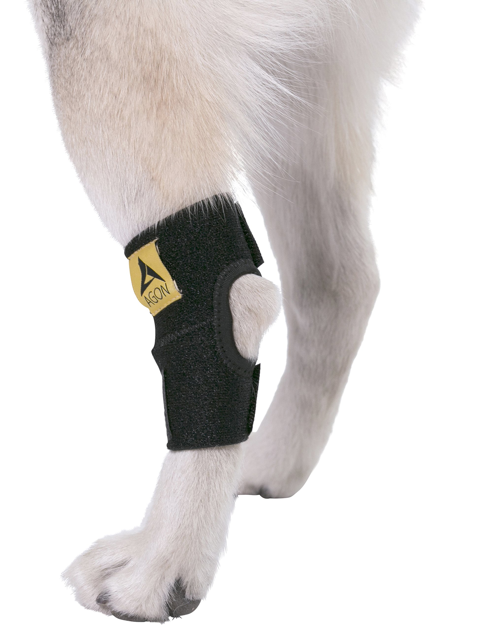 Agon® Dog Leg Braces For Back Leg wrap hock compression protects wounds and helps heal hind legs rear ankle joint, preventing injuries, sprains providing stability for dogs, canines arthritis (Medium)