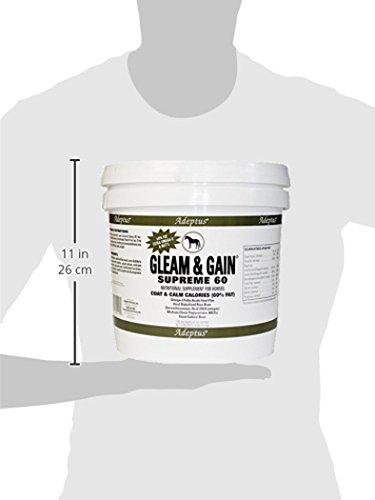 Adeptus Nutrition Gleam and Gain Original 41 EQ Joint Supplements, 10 lb./10 x 10 x 10