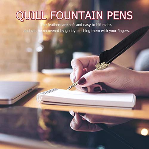 Calligraphy Feather Pen Set- Vintage Writing Feather Quill Pen Ink Set- 5pcs Metal Pen Nib Wedding Gift Set (Compass Box Feather Pen)