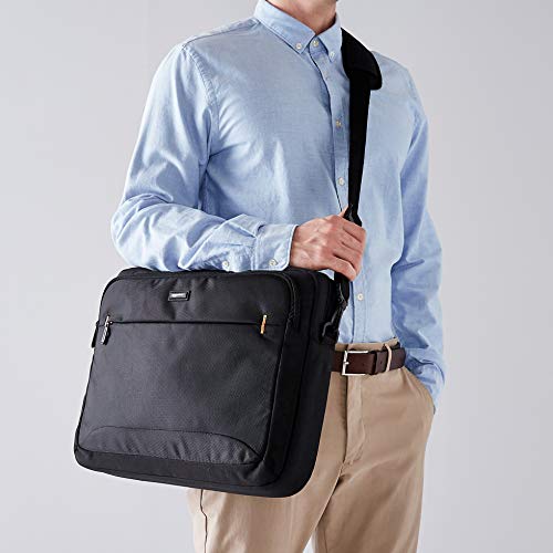 Amazon Basics 17.3-Inch Laptop Case Bag, Fits Dell, HP, ASUS, Lenovo, MacBook Pro and more, Black