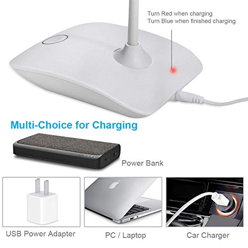 DEEPLITE LED Desk Lamp with Flexible Gooseneck 3 Level Brightness, Battery Operated Table Lamp 5W Touch Control, Compact Portable lamp for Dorm Study Office Bedroom(Set of 2)