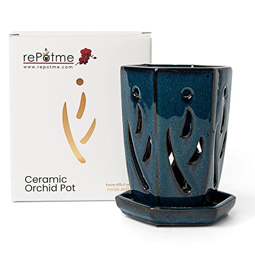 rePotme) 4 x 6 inch Hexagon Ceramic Orchid Pot with Matching Saucer (Teal Jade)