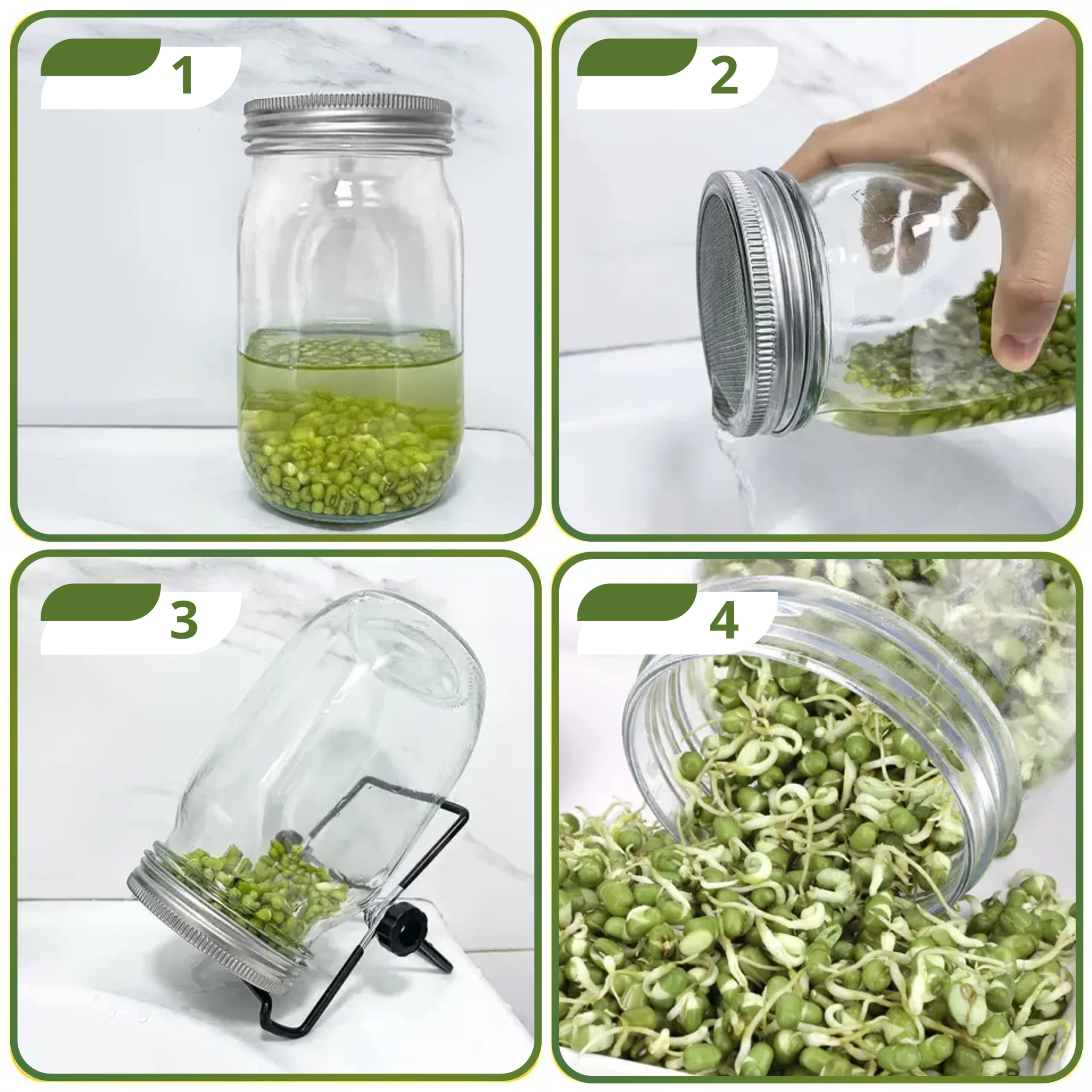 2PCS Sprouting Stands for Mason Jar β Sprouting Kit Stainless Steel Stand Kit for Sprouts Growing Kit 2 Mason Jar Holders for Wide and Regular Mouth Mason Jars