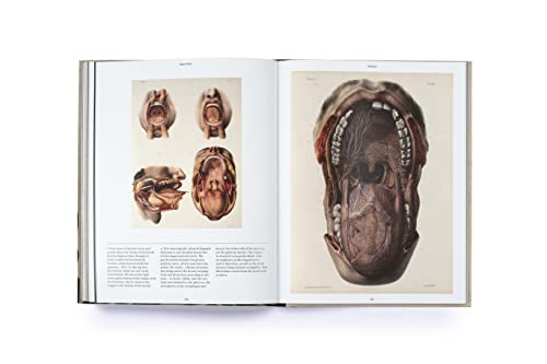 Anatomica: The Exquisite and Unsettling Art of Human Anatomy