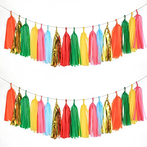 Autupy 35 PCS Taco Bout a Party Tassel Garland Tissue Paper Tassels Banner DIY Kit Baby Shower Party Taco Tuesday Fiesta Party Bachelorette Llama Party Decorations