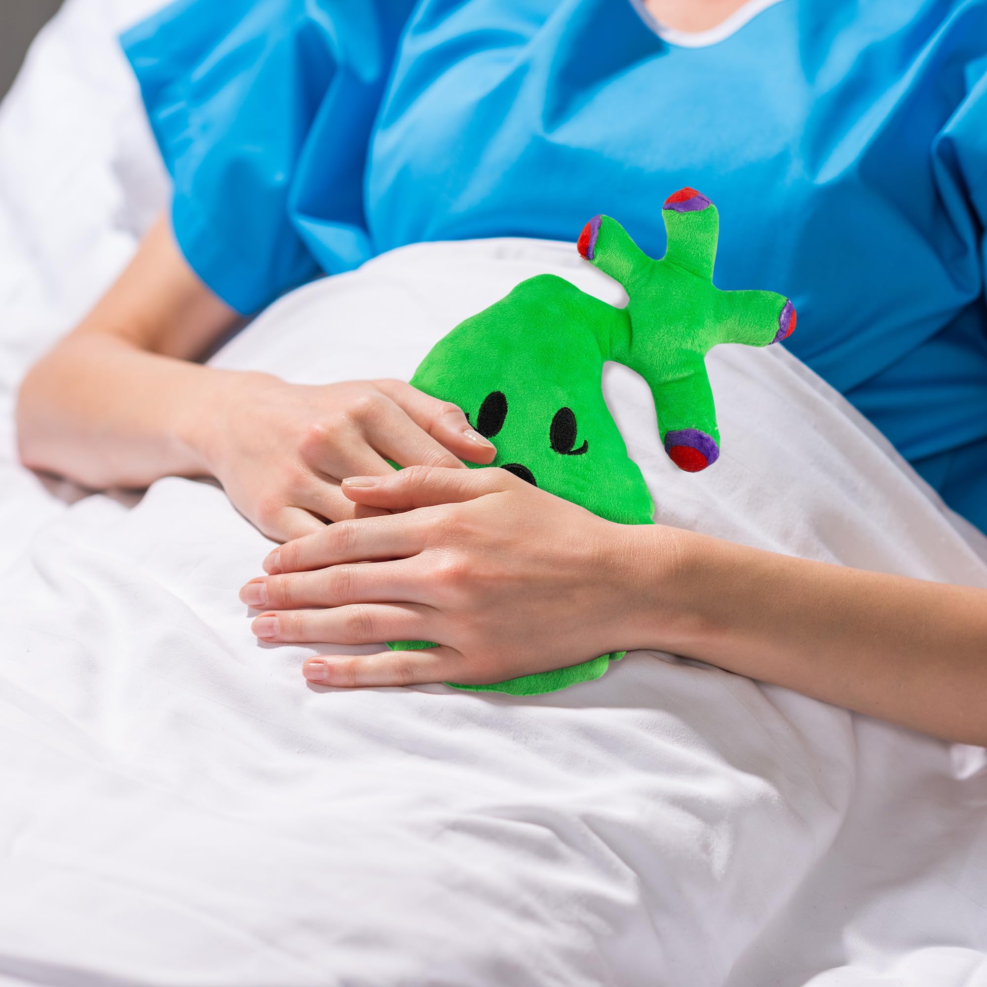 Attatoy Gallbladder Plush, Body Organ Stuffed Toy Complete with Gallstones