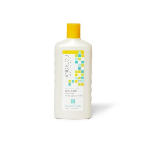 Andalou Naturals Shampoo Shine Snflwr Ctrs, Pack of 3