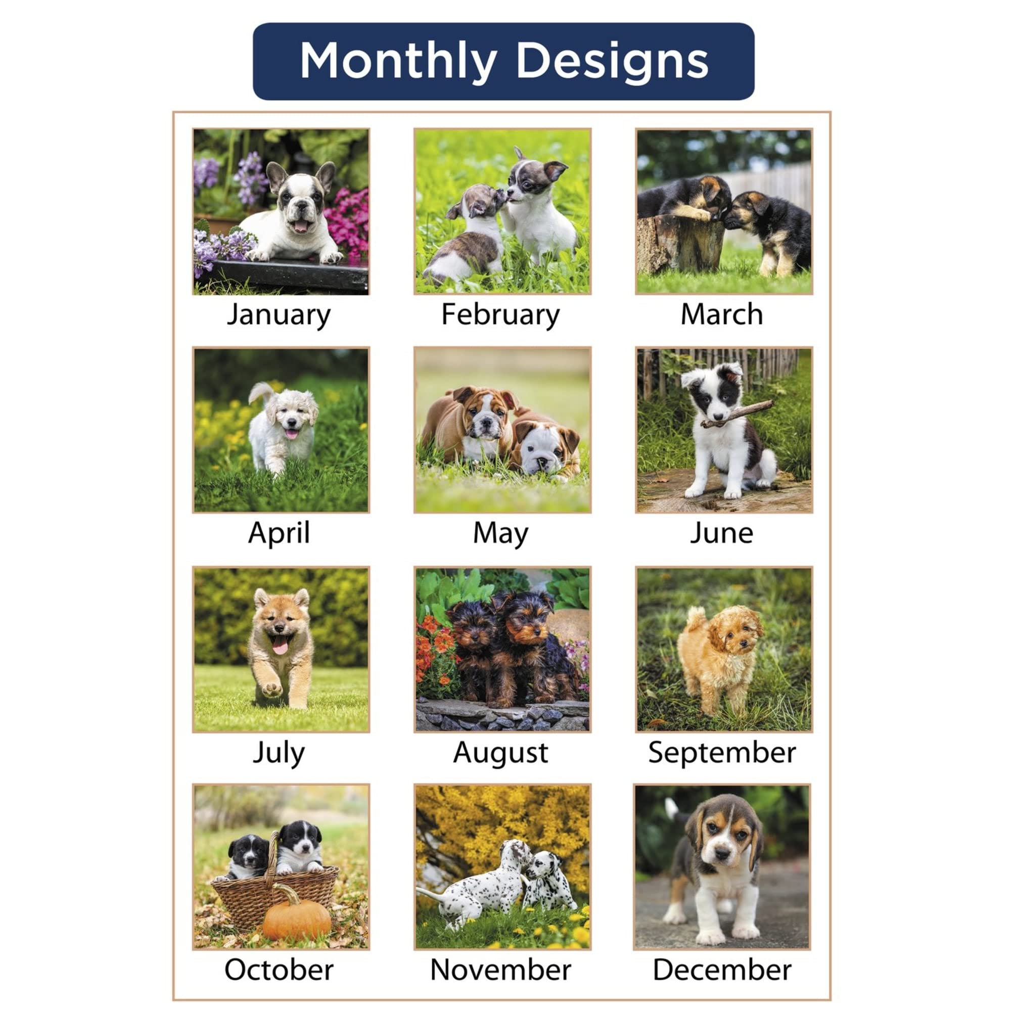 2024 AT-A-GLANCEĀ® Puppies Monthly Wall Calendar, 15-1/2" x 22-3/4", January to December 2024, DMW16728