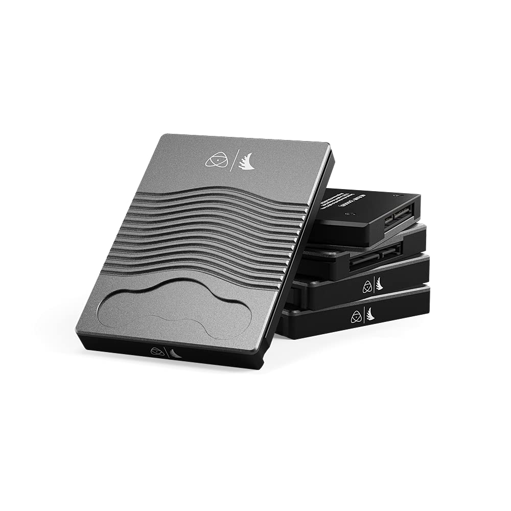 Angelbird AtomX 4K RAW | 500 GB | External SSD for Atomos Master Caddy II