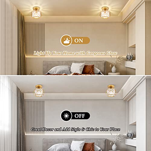 2-Pack Semi Flush Mount Ceiling Light Fixtures Small Crystal Farmhouse Black Metal Cage Indoor Industrial Ceiling Lights for Living Room Hallway Bathroom Entryway Kitchen