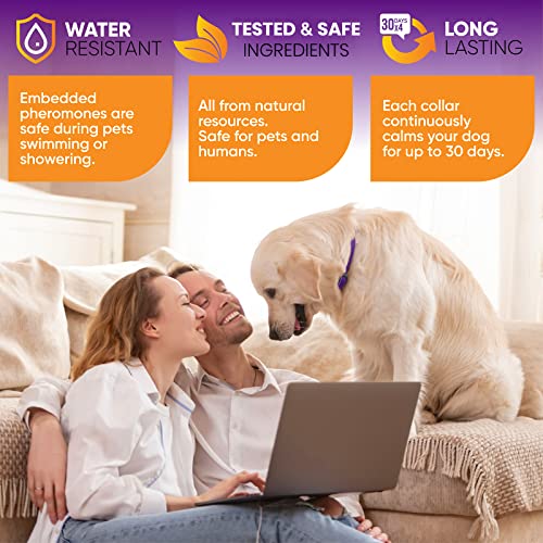 4 Pack Calming Collar for Dogs, All New Pheromone Anti-Loose Dog Calm Collar, Separation Anxiety Relief for Dogs, Reduce Dog's Anxiety and Stress