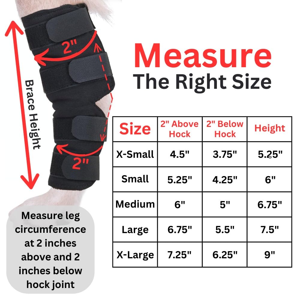 AGON® Dog Leg Braces for Back Leg wrap hock Compression Protects Wounds and Helps heal hind Legs Rear Ankle Joint, preventing Injuries, sprains Providing Stability for Dogs, Canines Arthritis (Small)
