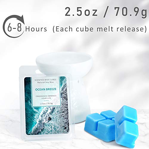 SCENTORINI Wax Melts, Wax Cubes, Soy Wax Cubes for Wax Warmer, Ocean Breeze, Fresh Linen, Bohemia Forest, Winds in Summer, 4 x 2.5oz
