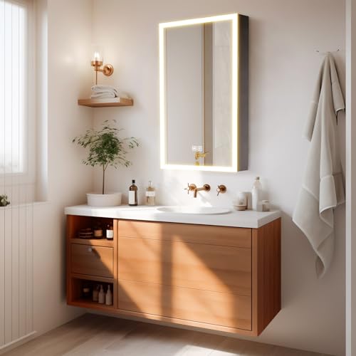 Seenvlog Bathroom Medicine Cabinet with Lights, 15.7" x 27.5" LED Mirror Cabinet, 3-Color Temp, Black Bathroom Storage Cabinet Anti-Fog, Wall Mount