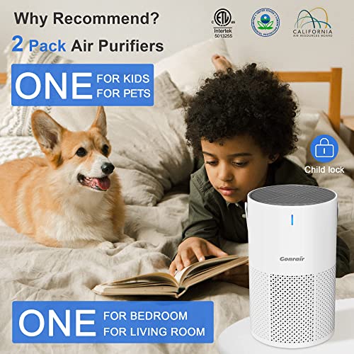 2Pack Air Purifiers for Bedroom with Four Filters(Two Already in Air Purifiers) For Smoke Pollen Dander Hair Smell In Bedroom Office Living Room and Kitchen