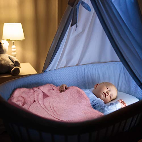 Baby Blanket Flannel, Cozy Throw Blankets for Newborn Infant and Toddler, Super Soft and Warm Receiving Baby Blanket for Crib Stroller (Pink 30 * 40")