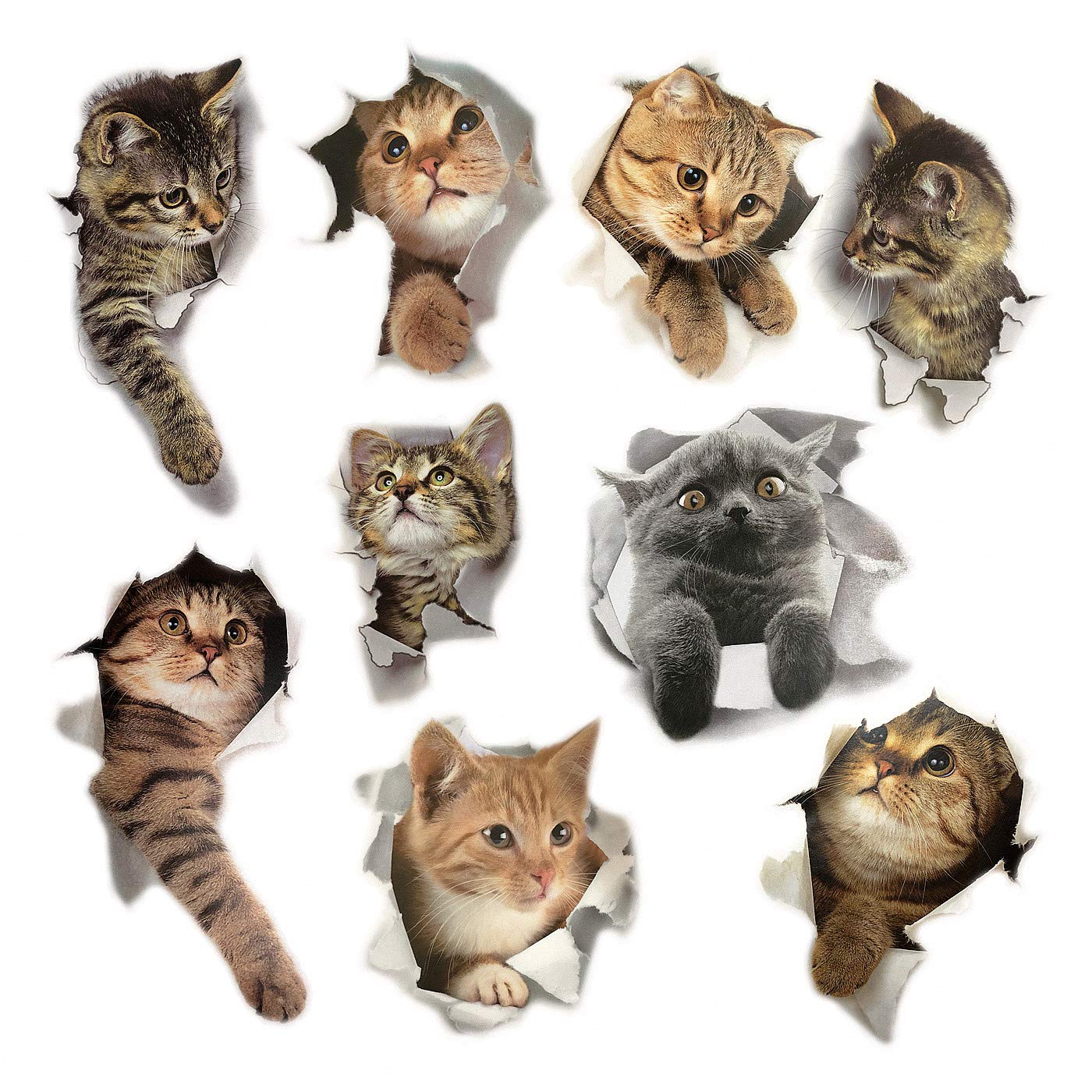 Animals Cute Cat Wall Sticker Living Room Bedroom Decoration Animal Wall Stickers Bathroom/Toilet/Refrigerator/Car/Nursery Room/PVC/Kitchen 3D Wall Decals